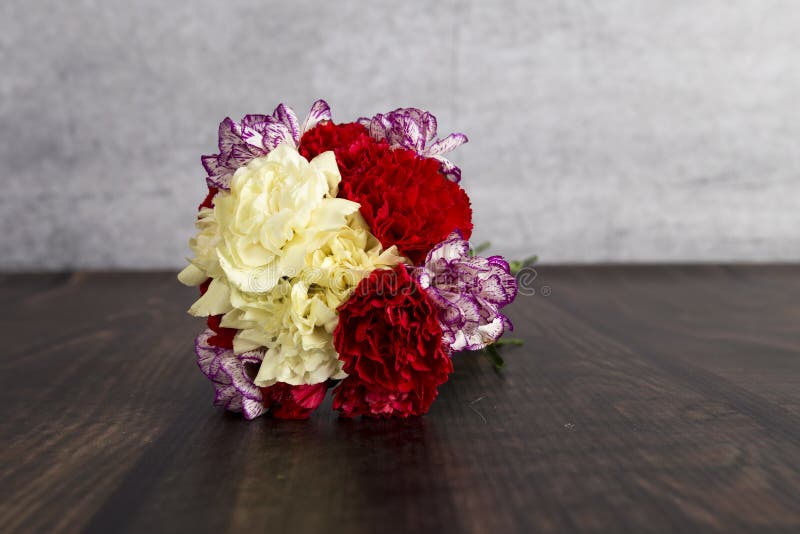 Carnation stock photo. Image of carnation, mother, spring - 78670178