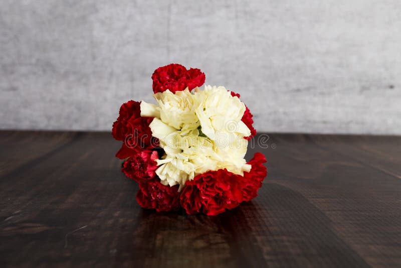 Carnation stock photo. Image of plant, pink, bunch, spring - 78669412