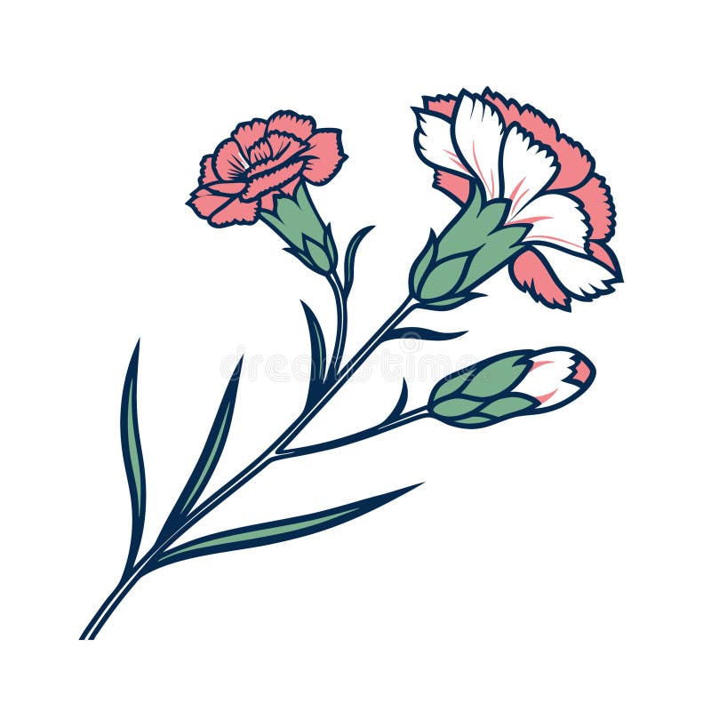 Carnation Flower Bold Outline Design One Stock Illustration ...