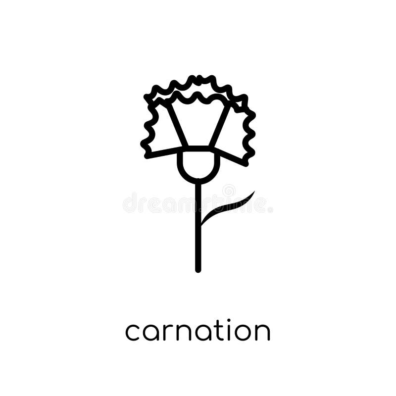 Carnation Icon. Trendy Modern Flat Linear Vector Carnation Icon Stock ...