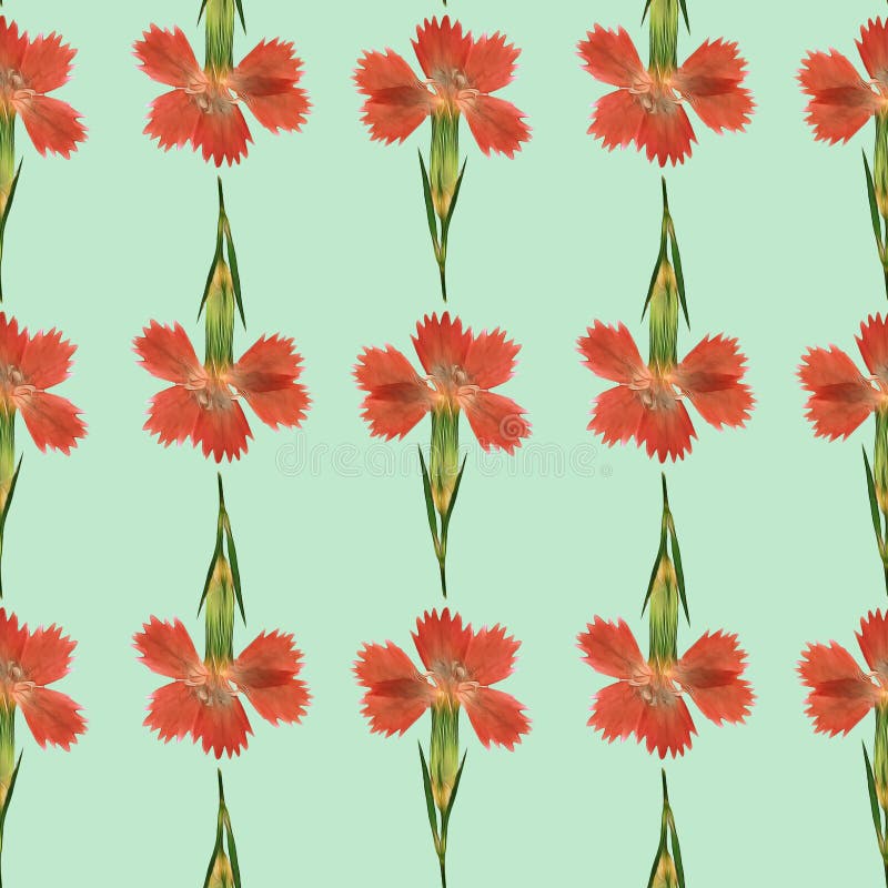 Carnation. Illustration, Texture of Flowers. Seamless Pattern for ...