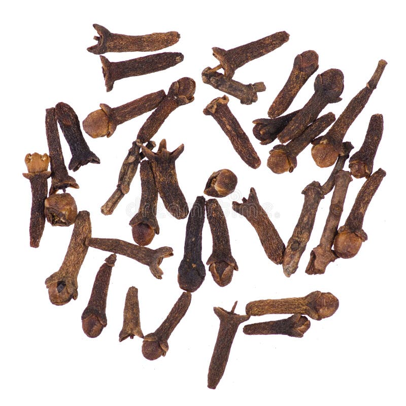 Carnation spice isolation stock image. Image of cloves - 113897161