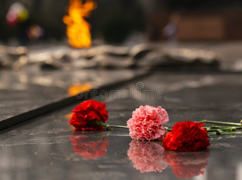 Carnations Flowers on the Monument of Eternal Fire - Victory Day Stock ...