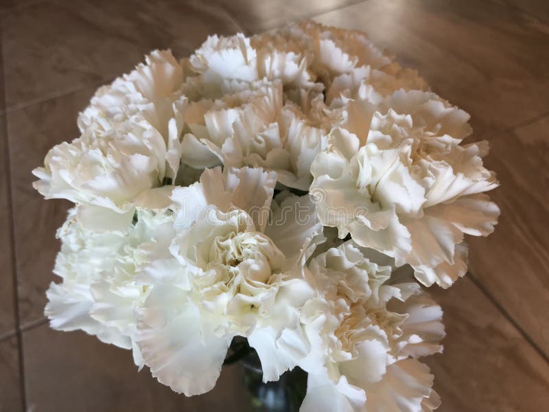 Carnations white 1381 stock image. Image of bouquet - 173058761