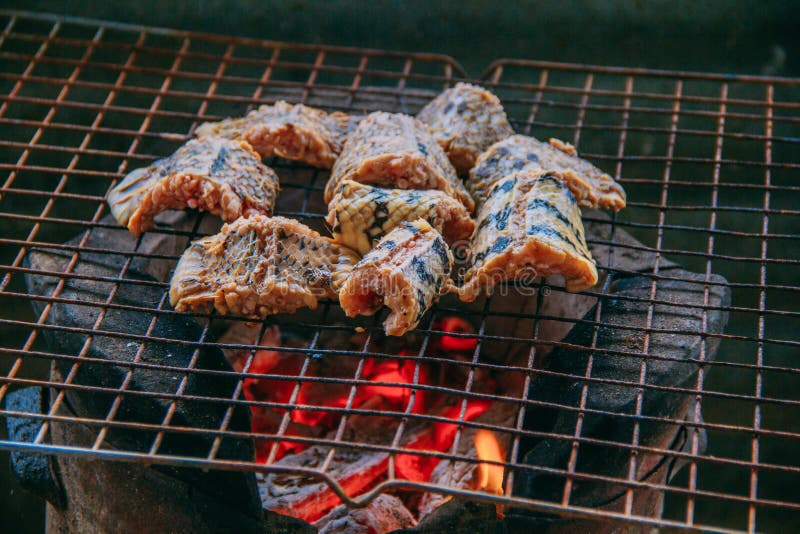 Carne De La Serpiente En Parrilla Imagen de archivo - Imagen de ...
