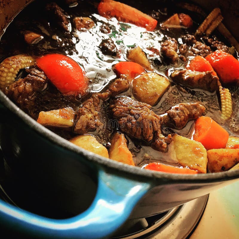 Carne De Vaca Cocida En Salsa De Soja Imagen de archivo - Imagen de ...