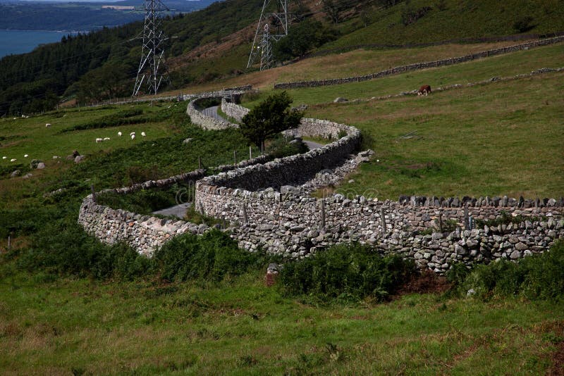 Carneddau Snowdonia stock photo. Image of wales, pink - 23042030