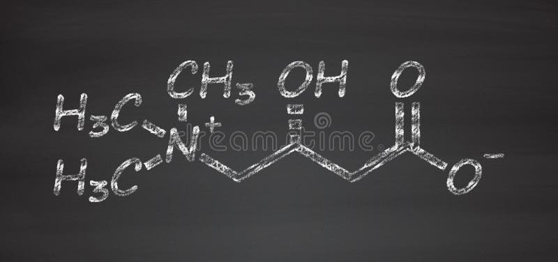 Carnitine Food Supplement Molecule, Chemical Structure. Stock ...