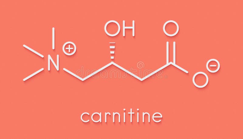 Carnitine Food Supplement Molecule, Chemical Structure Skeletal Formula ...