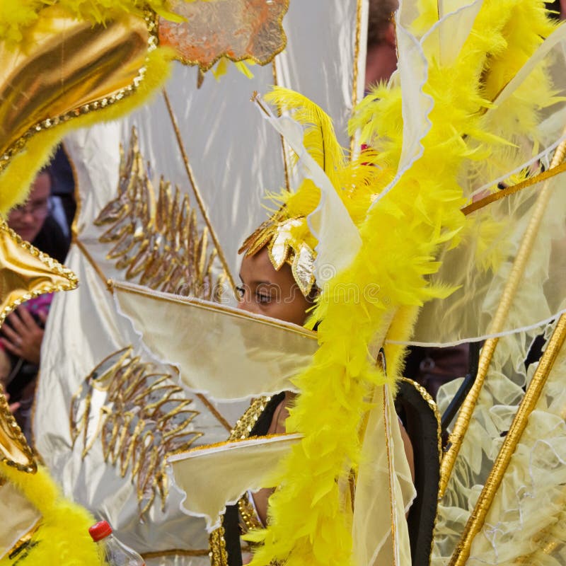 Carnival Eyes editorial stock image. Image of carnaval - 20150354