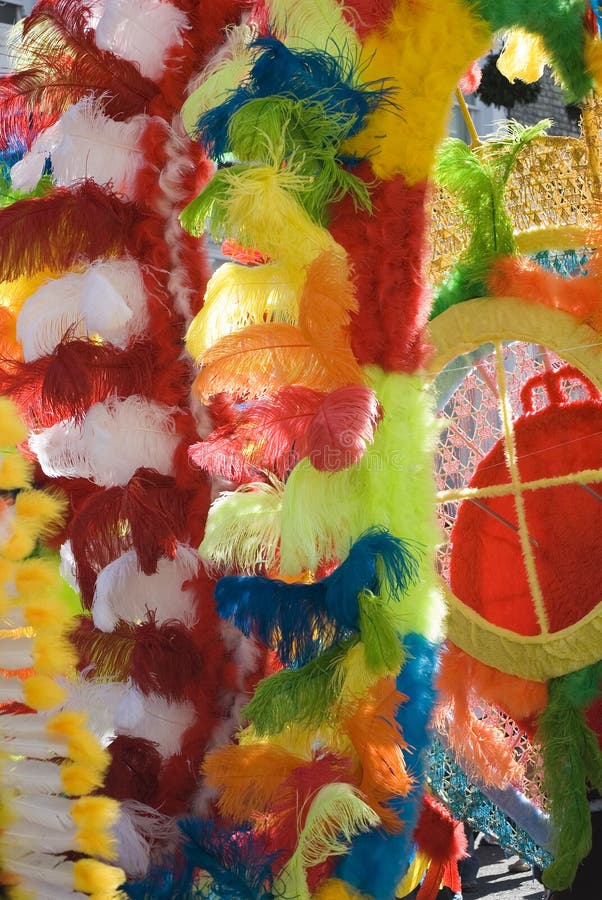 Carnival feathers stock image. Image of ornaments, pose - 10731675