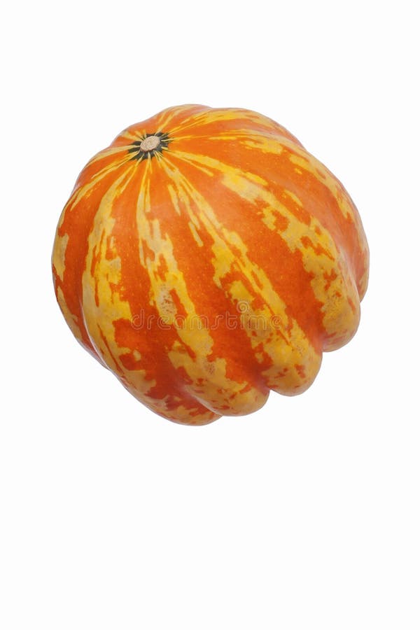 115 Carnival Squash White Background Stock Photos - Free & Royalty-Free ...