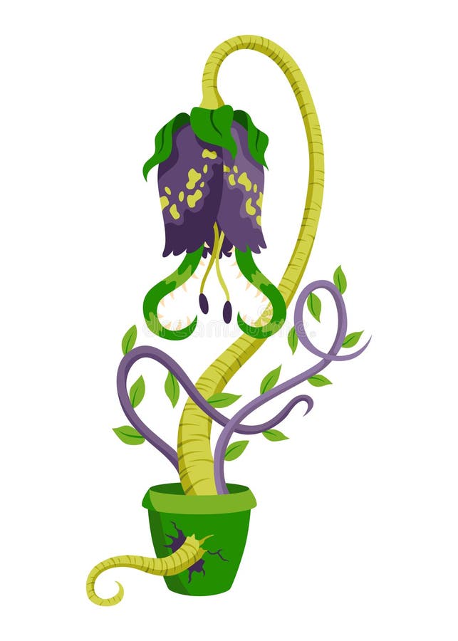 Carnivorous Plant in Fantasy Design. Cartoon Flytrap in Pot, Plant ...