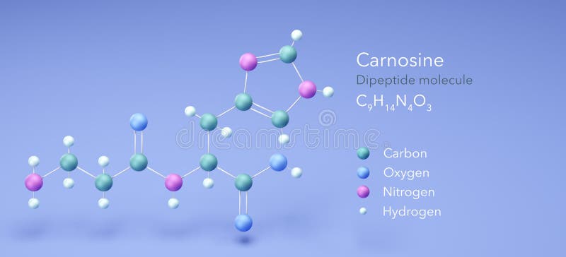 Carnosine, Molecular Structures, Dipeptide Molecule, 3d Model ...