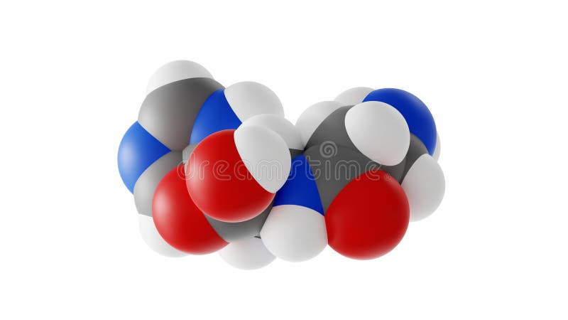 Carnosine, Molecular Structures, Dipeptide Molecule, 3d Model ...