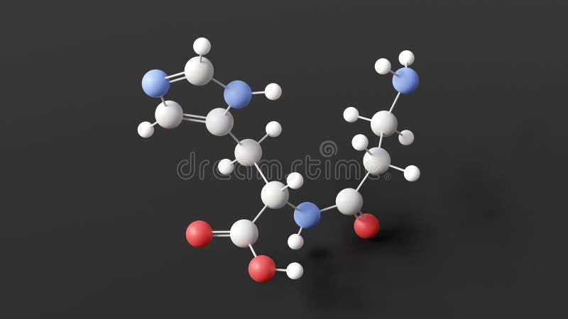 Carnosine, Molecular Structures, Dipeptide Molecule, 3d Model ...