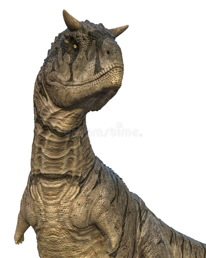 Carnotaurus In A White Background Stock Illustration - Illustration of ...