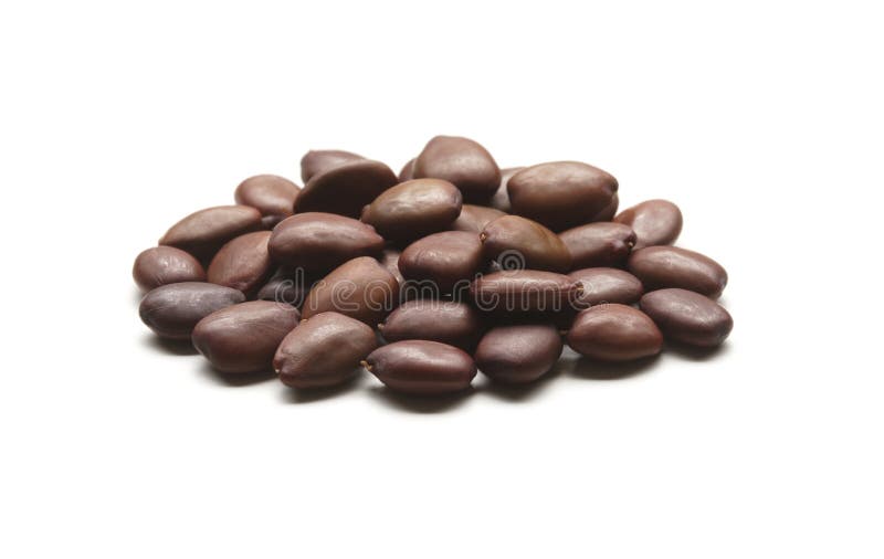 Old carob tree stock image. Image of carob, grass, branches - 12262641