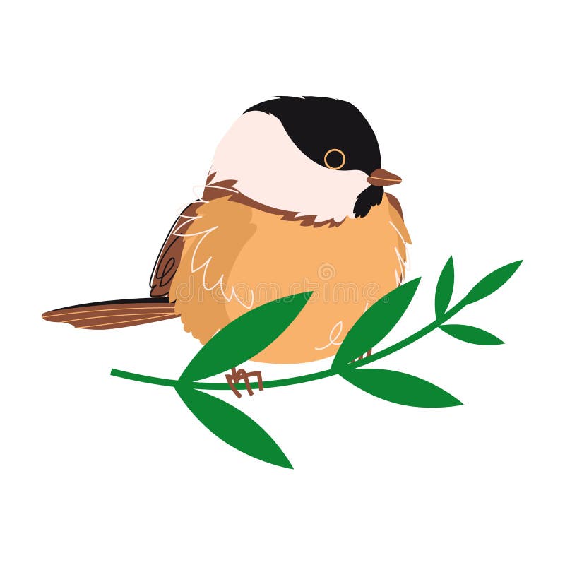 Chickadee Drawing Stock Illustrations – 277 Chickadee Drawing Stock ...