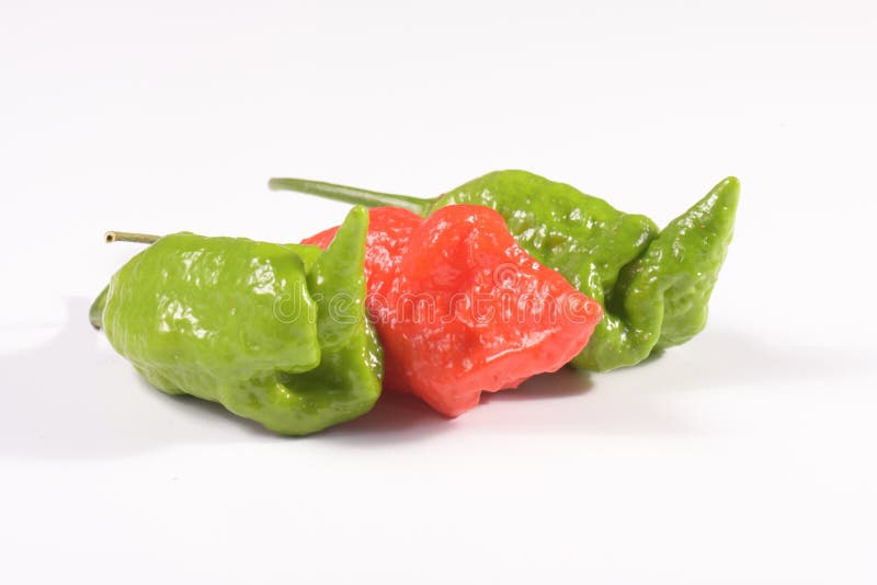 Carolina reaper stock image. Image of vegetable, chile - 266946991