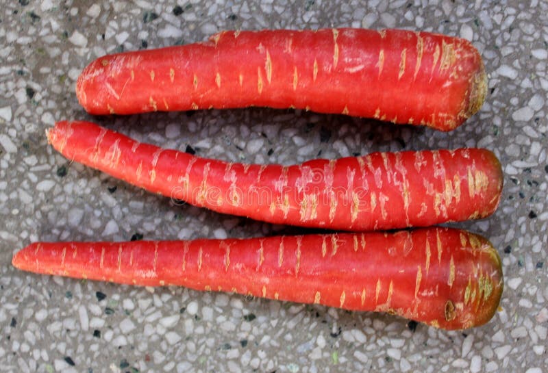 Carotte rouge image stock. Image du minerais, fonds, fond - 36189753