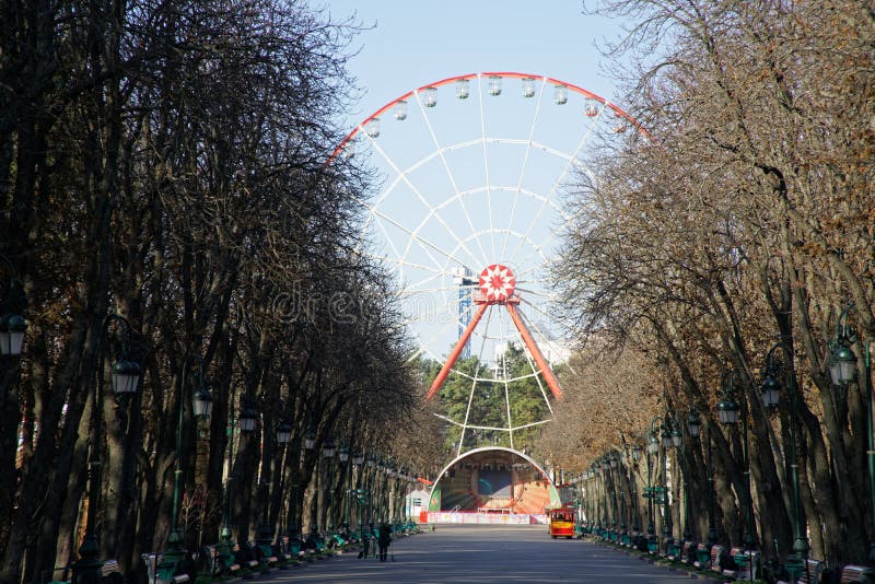 Carousel in Fall Park. Ferris Wheel on a Blue Background Stock Photo ...