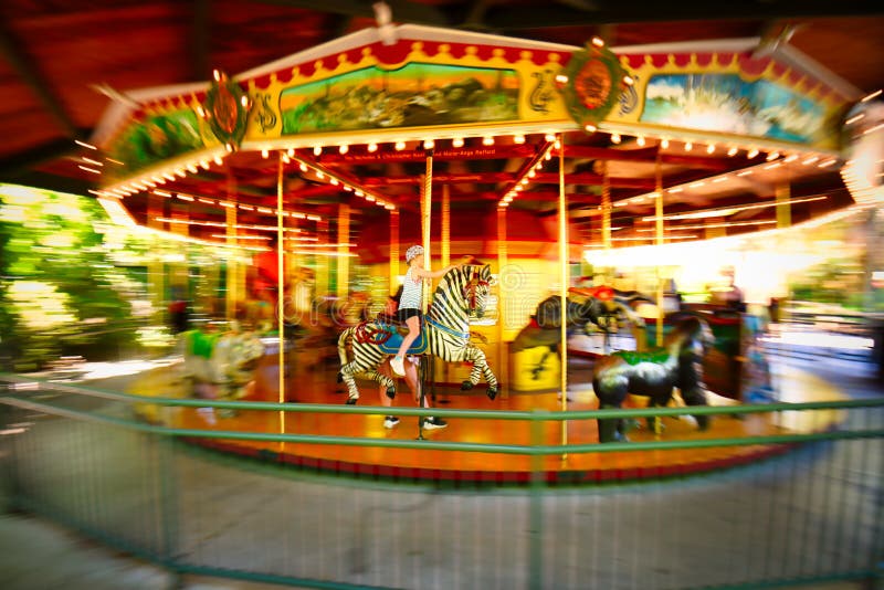 Carousel Zebra stock photo. Image of amusement, play - 23139372