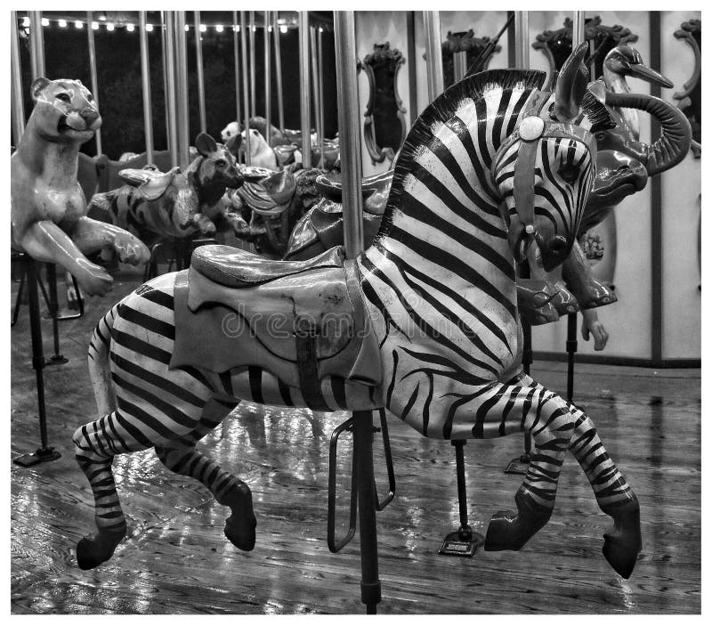 Carousel Zebra stock photo. Image of amusement, play - 23139372