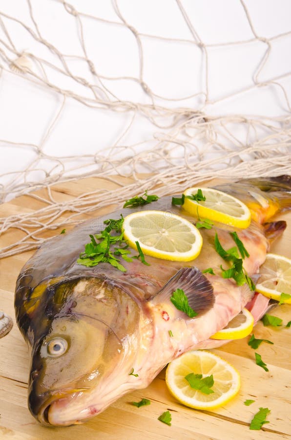 Carp stock photo. Image of grilled, green, dinner, health - 23076654