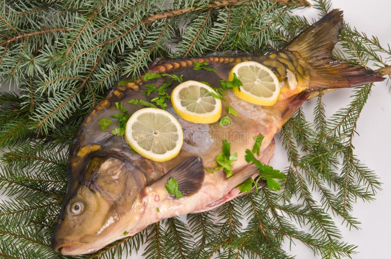 Carp stock image. Image of food, flower, animal, health - 23374595