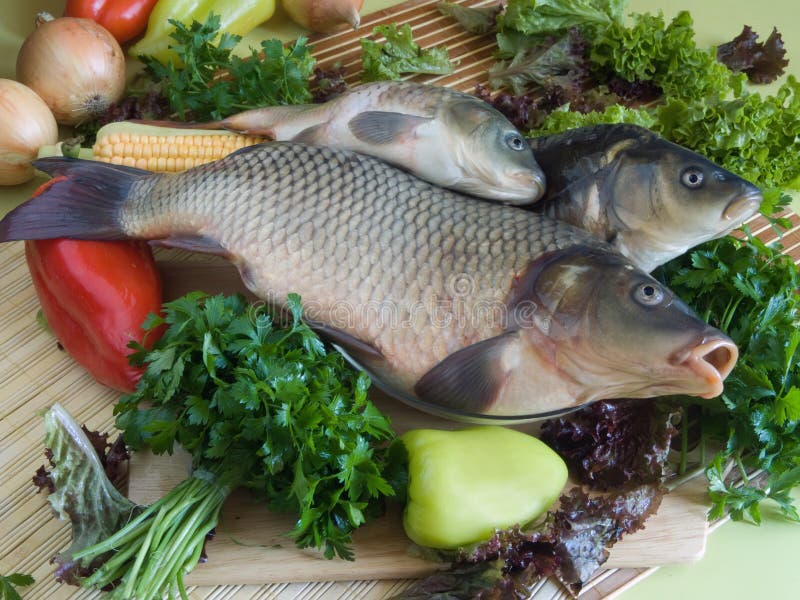 Carp fish stock photo. Image of fish, tenderloin, preparing - 8433864