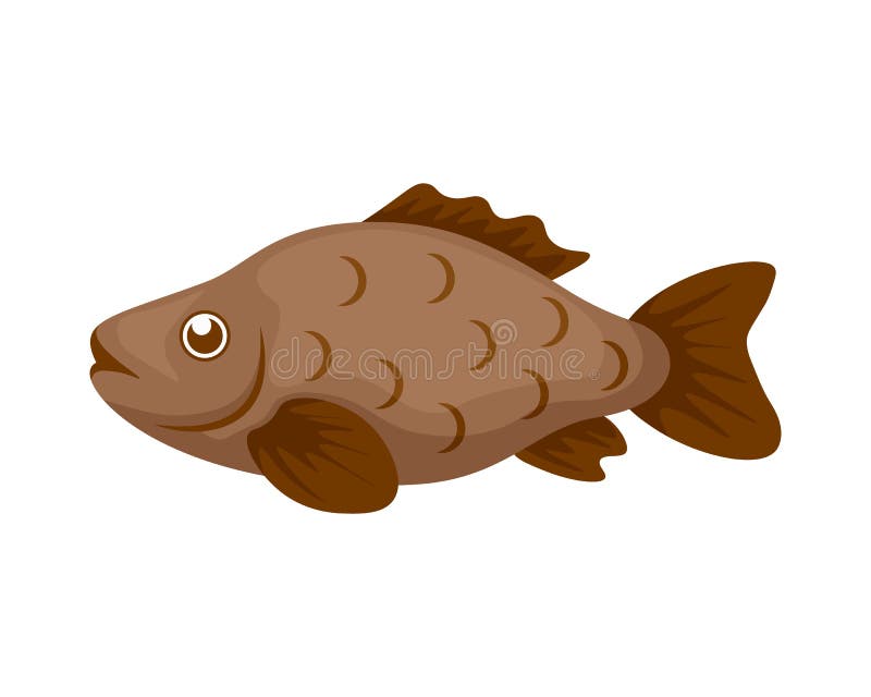 Carp Fish. Cartoon Image of a Fish. River Fish Stock Vector ...