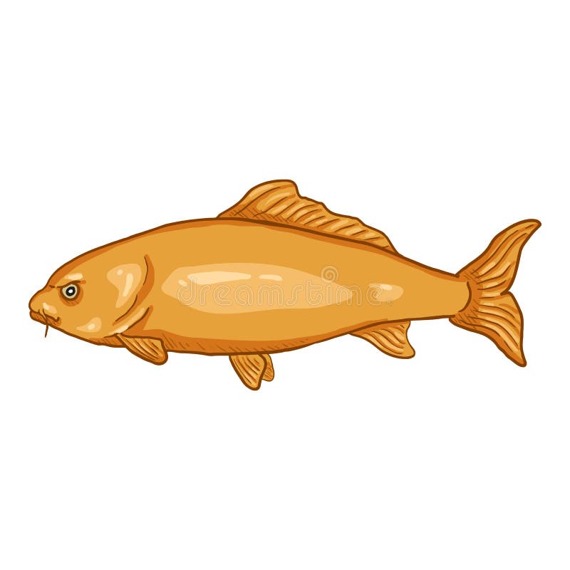 Carp Fish Cartoon Vector Illustration Stock Vector - Illustration of ...