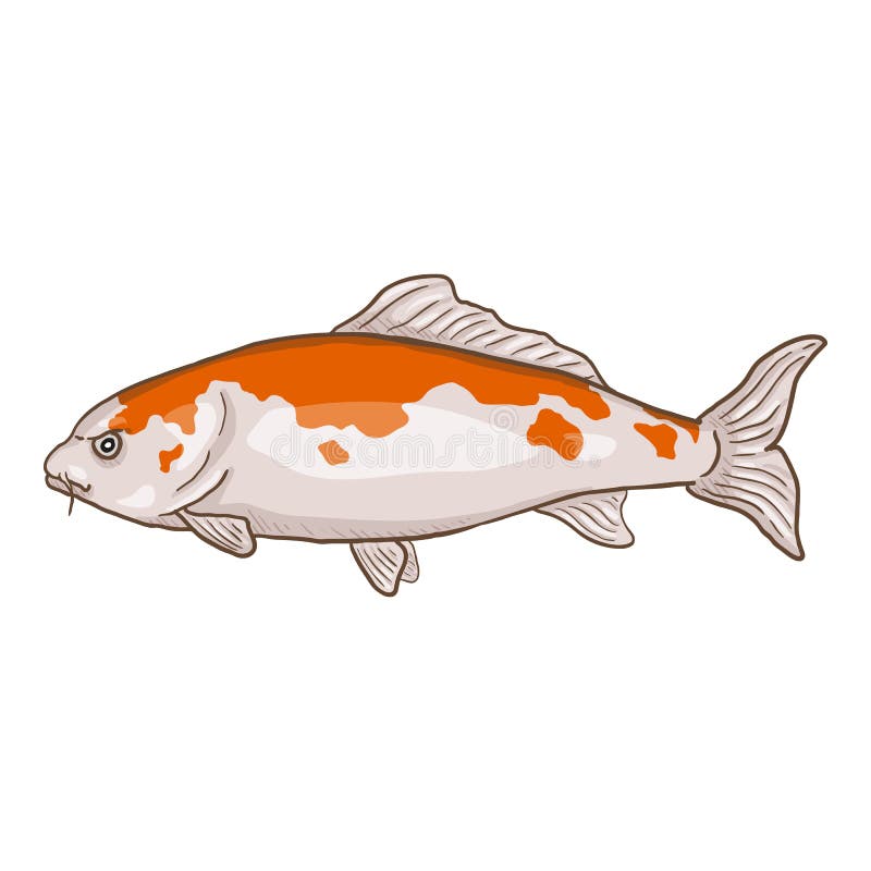 Carp Cartoon Stock Illustrations – 4,763 Carp Cartoon Stock ...