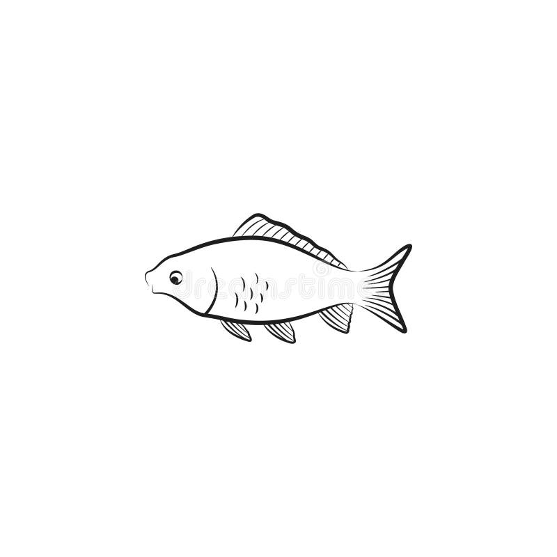 Carp Fish Icon Vector Illustration Stock Vector - Illustration of catch ...