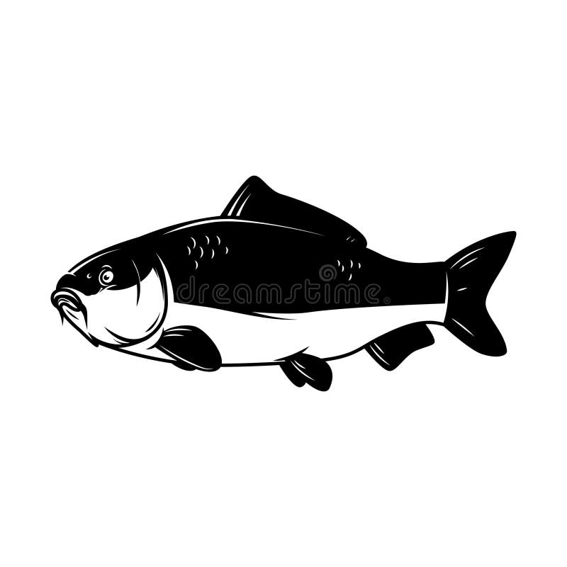 Carp Fish Isolated on White Background. Design Element for Logo, Emblem ...