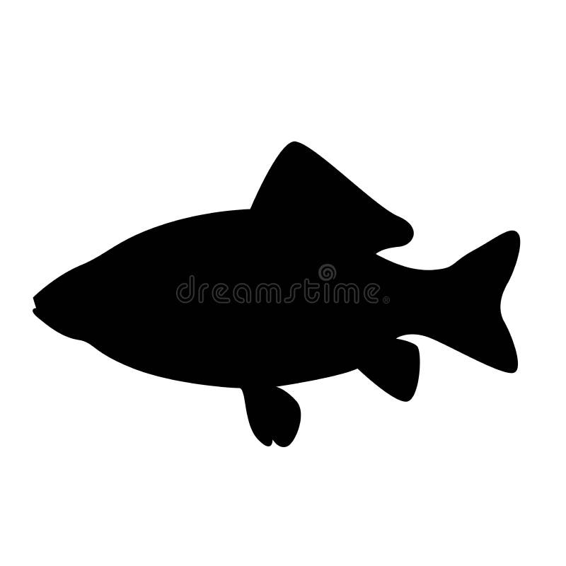 Fish Silhouette stock vector. Illustration of vector - 269337224