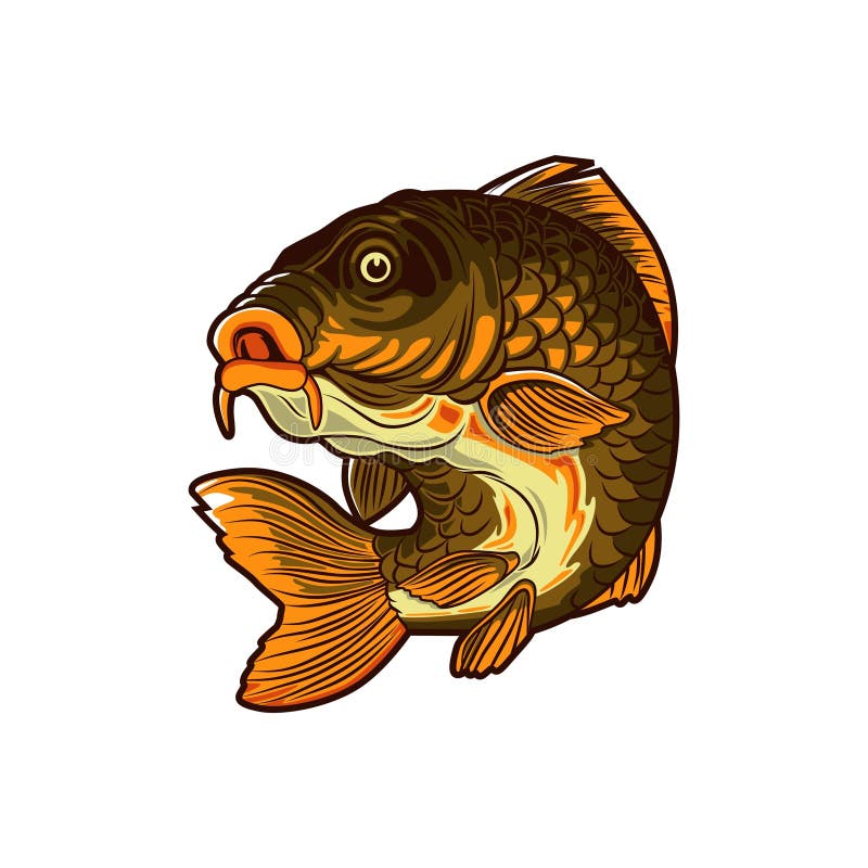 Mirror Carp Stock Illustrations – 129 Mirror Carp Stock Illustrations ...