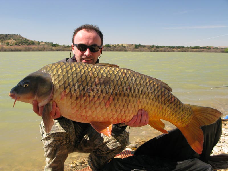 Carp fishing stock photo. Image of lake, game, angling - 21744542