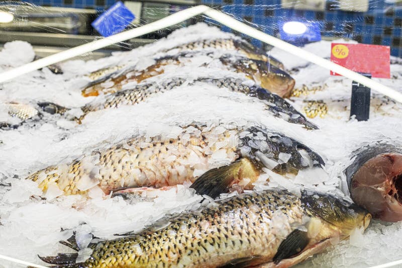 Carp in Ice on the Counter in the Supermarket Stock Image - Image of ...
