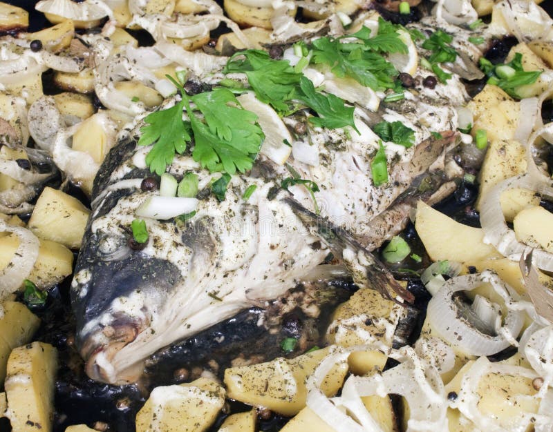 Carp with potatoes stock image. Image of meal, cuisine - 22686419
