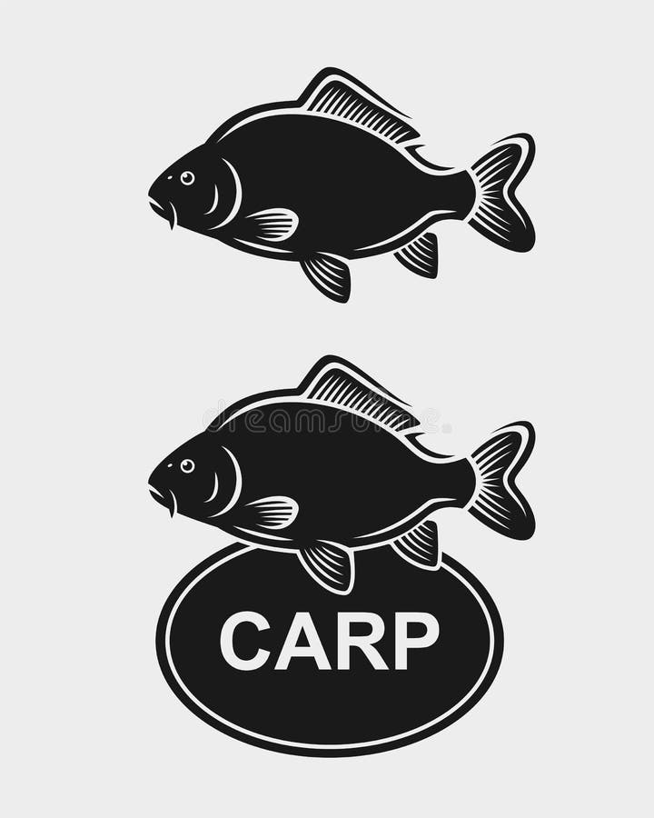 Carp set. Vector stock vector. Illustration of swimming - 71675068