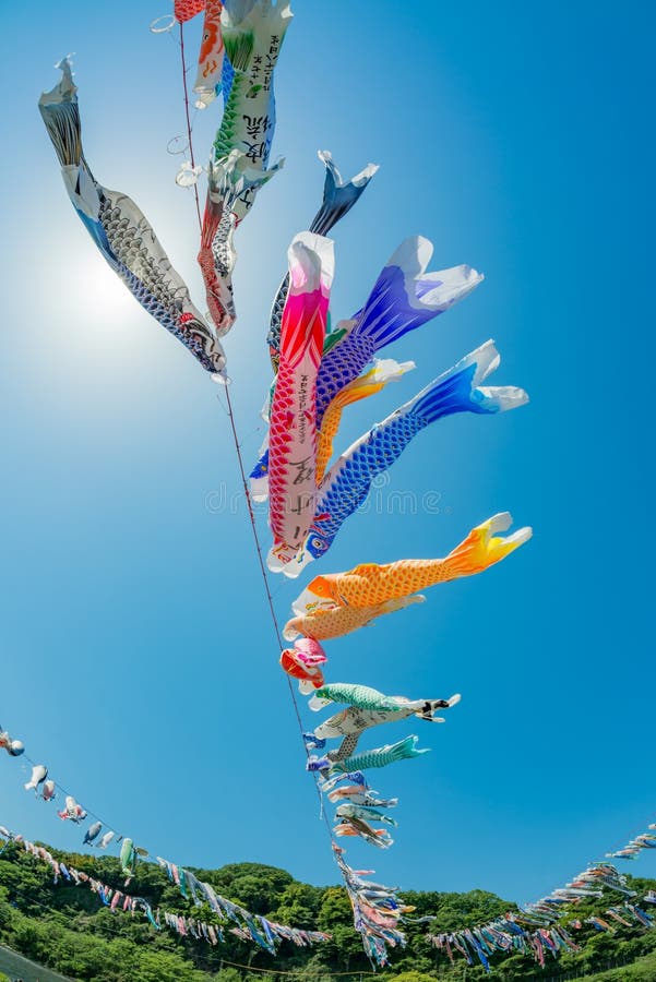 Carp Streamer Above the River Stock Image - Image of outdoor, blue ...