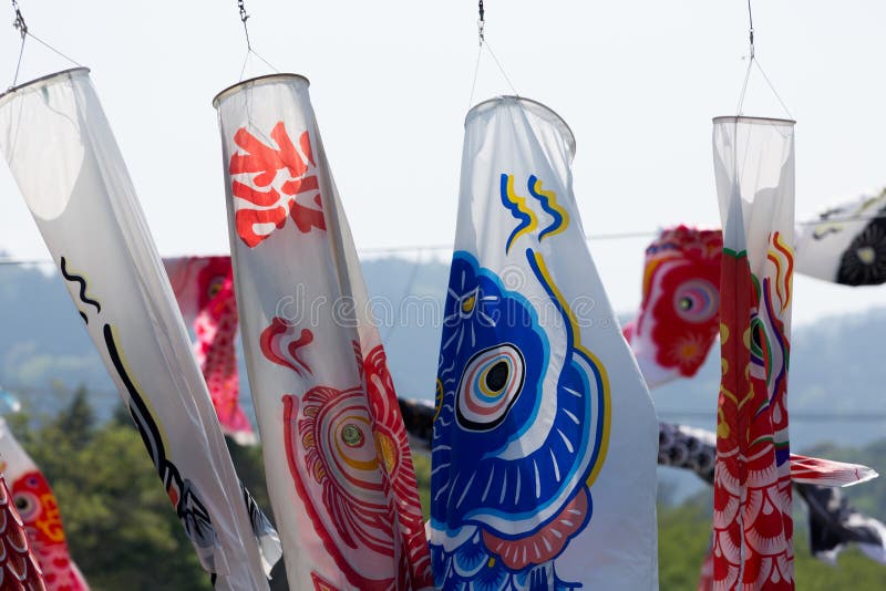 Carp streamer stock image. Image of enjoyment, blowing - 70507023