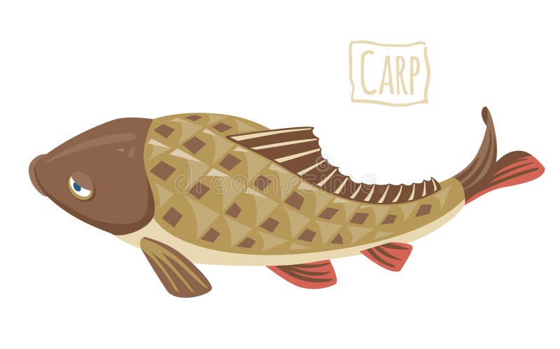 Carp, Vector Cartoon Illustration Stock Vector - Illustration of brown ...