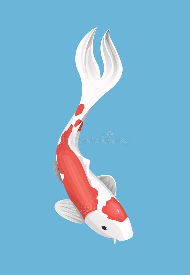 Carpa Japonesa Chinesa Do Vermelho Dos Peixes Do Koi Ilustração do ...