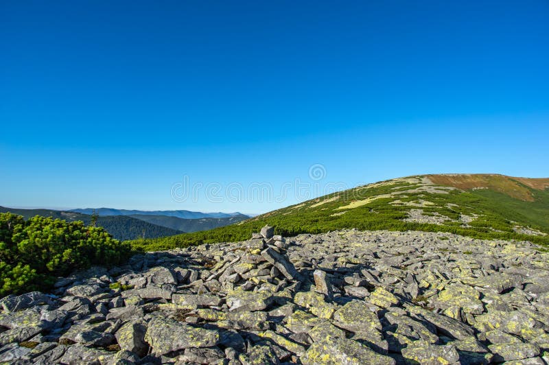 Blue Haze, Mystical Misty Morning. Fantastic Landscape, Thick Fog Over ...