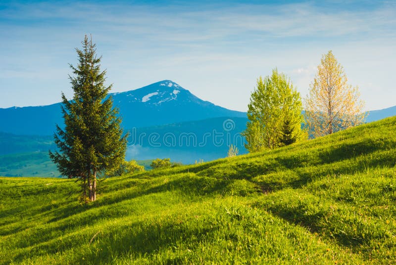 Carpathian spring valley stock photo. Image of morning - 57572038