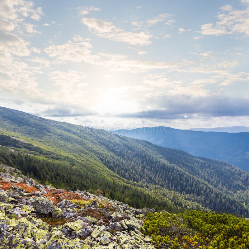 Carpathians Mountain Valley Scene Stock Image - Image of bright ...