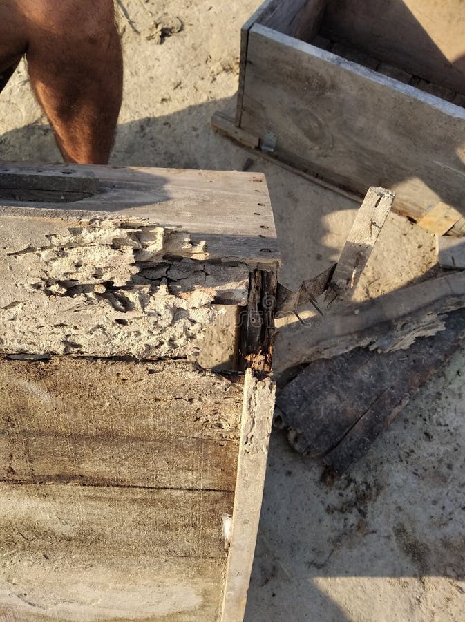 Carpenter with a Box is Which Destroyed Stock Photo - Image of star ...